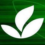 Como é trabalhar na empresa Imaflora | 99jobs.com