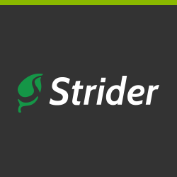 Como é trabalhar na empresa Strider | 99jobs.com