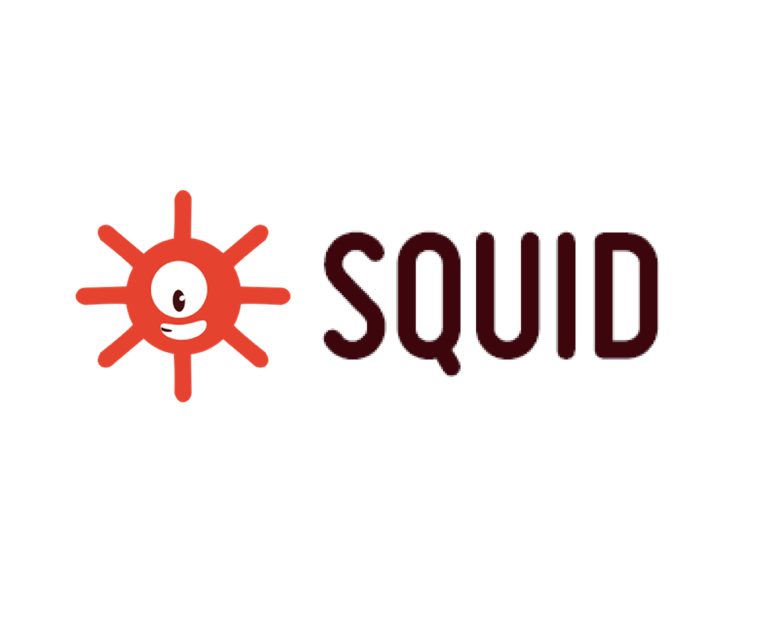 Como é trabalhar na empresa Squid | 99jobs.com